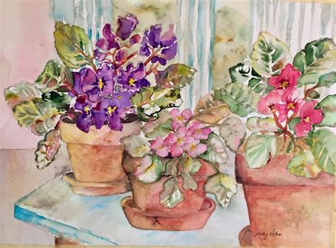 The Sunroom African Violets