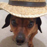Samuel Gunter On Twitter Fireship Dev Those Aren T Meme Issues They