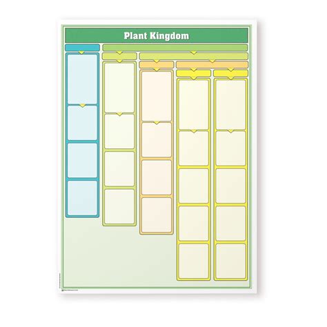 Plant Kingdom Classification Chart