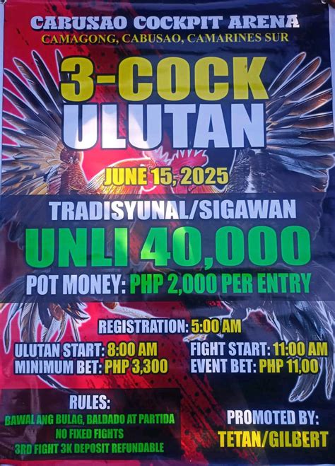 Cabusao Cockpit Arena