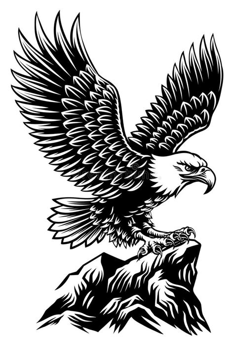Eagle Flying Wing Stock Illustrations 33 555 Eagle Flying Wing Stock