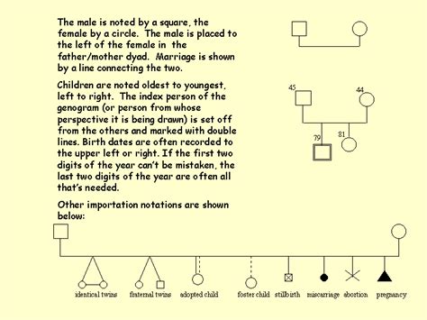 Genogram Paper Examples