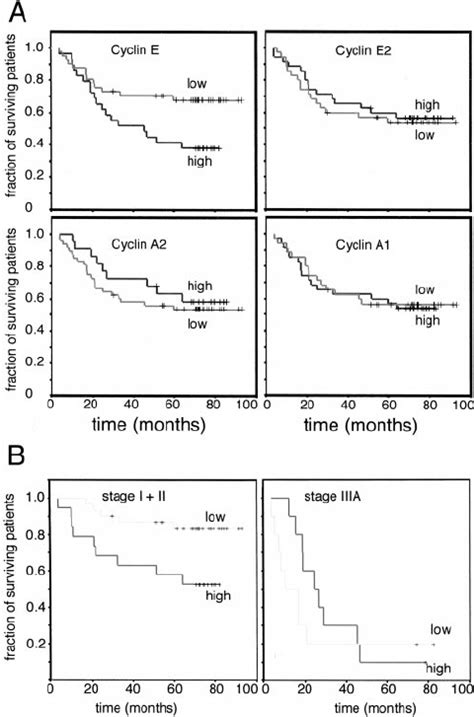 Cyclin Expression In Nsclc And Control Lung Tissue Cyclin Expression