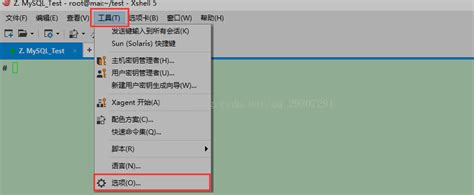 Xshell鼠标选中 实现快捷复制和粘贴xshell 鼠标选中赋值 Csdn博客