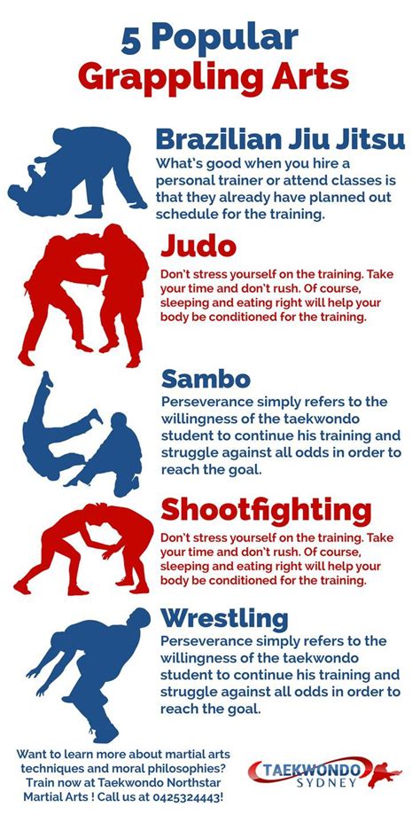 5 Popular Grappling Arts Martial Arts Styles Best Martial Arts