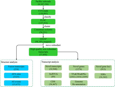 Flow Chart Of Bioinformation Analysis Download Scientific Diagram