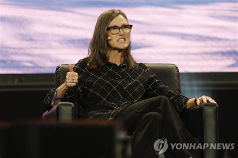 돈나무 언니 캐시 우드 테슬라 주식 대량 매수쌀 때 사자 연합뉴스
