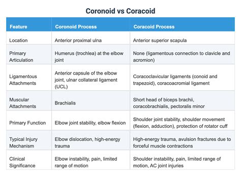 Coronoid Vs Coracoid