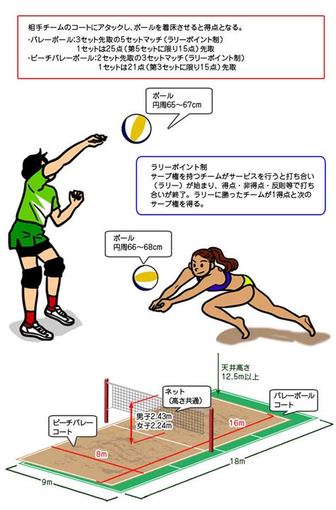 バレーボール｜オリンピック競技｜競技｜大会情報｜2020年大会開催準備｜東京都オリンピック・パラリンピック準備局