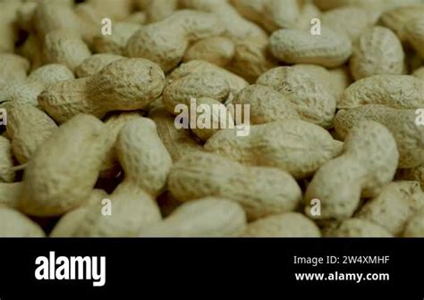Peanut Peanuts Nut Shell Stock Videos And Footage Hd And 4k Video Clips
