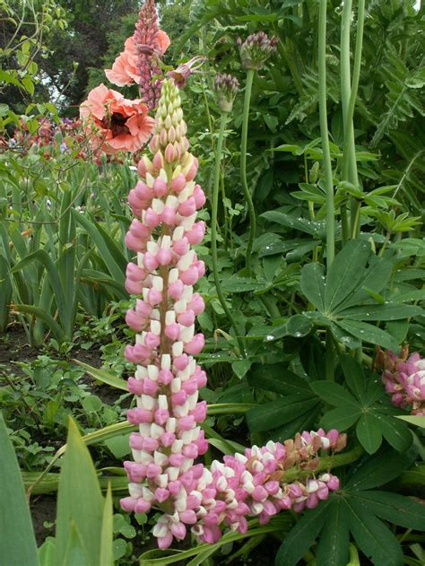 L Shaped Flowers By Andrakax On Deviantart Nature Letters Alphabet