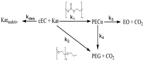 Catalytic Ring Opening Polymerisation Of Cyclic Ethylene Carbonate Importance Of Elementary