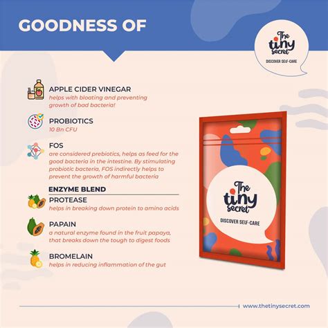 Buy The Tiny Secret Fit Mints Digestion Chew Tablets Meetha Pan Flavour