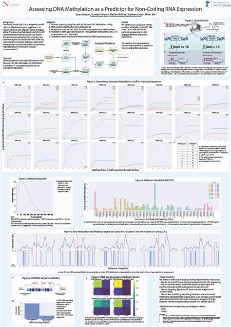 Assessing Dna Methylation As A Predictor For Non Coding Rna Expression