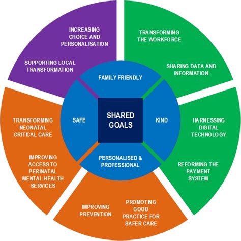 Maternity Hospital Quality Improvement Network At June Kemp Blog