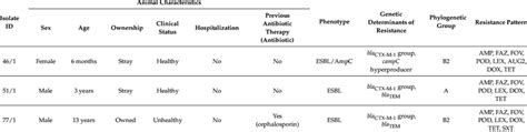 Phenotypic And Genetic Characterization Of Esblampc Producing E Coli