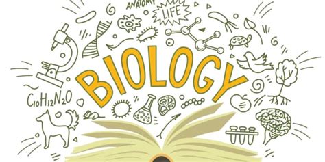 Best Reference Books For Class 12 Cbse Biology 2026