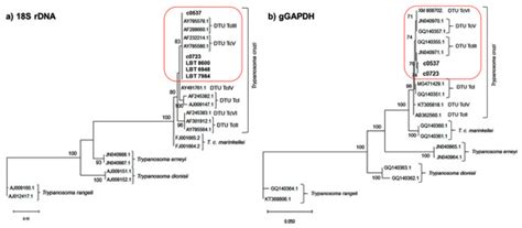 Pathogens Special Issue Trypanosomatid Infections Among Wild Fauna