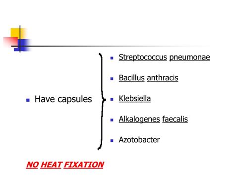 Ppt Negative Stain Capsule Stain Powerpoint Presentation Free