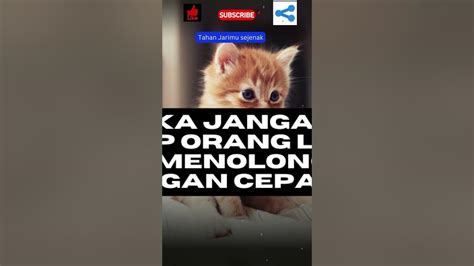 Story Hijrah Iya Tahshortvideo Shorts Motivation Status Viral Trending Tiktok Kelen