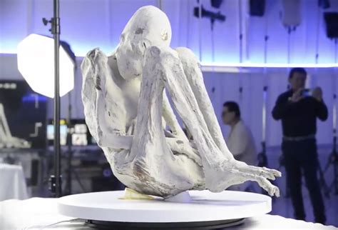 I Probed ‘nazca Alien Mummies Dna Proves They Are Real And Co Existed