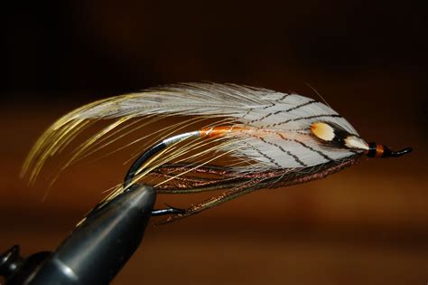 Grey Ghost Fly Pattern