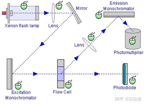 荧光检测器和紫外检测器在分析化学中有什么区别？ 知乎