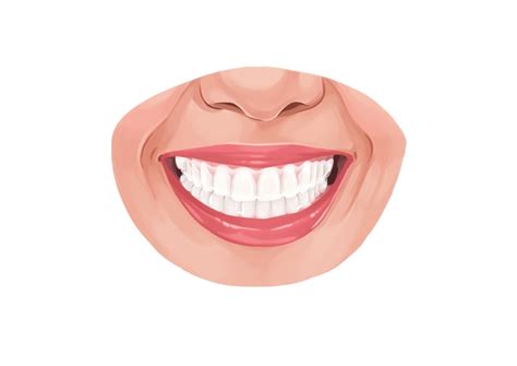 What Are Invisible Braces Authority Dental