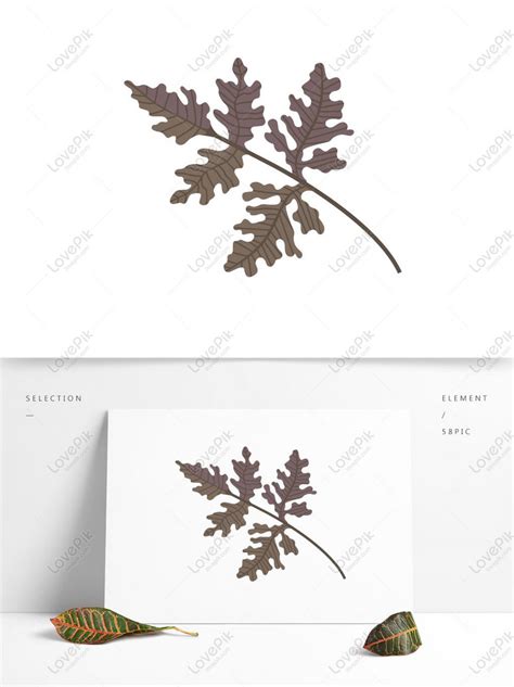 A Leaf Specimen Element Design Slice Leaf Specimen Png Image Free