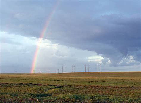 Dark Field Background Images Hd Pictures And Wallpaper For Free