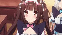 Nekopara S Tenor