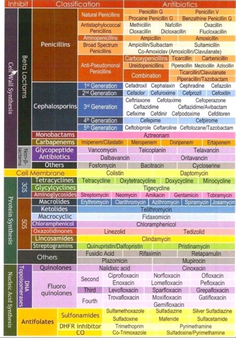 Brandon Fonyuy On Linkedin The Antibiotic Chart Brandon Fonyuy On Linkedin The Antibiotic Chart