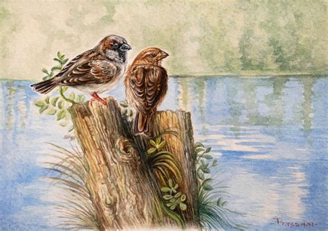 World Sparrow Day By Prasad Natarajan On Deviantart