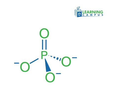 Phosphate Functional Group Formula Structure And Properties