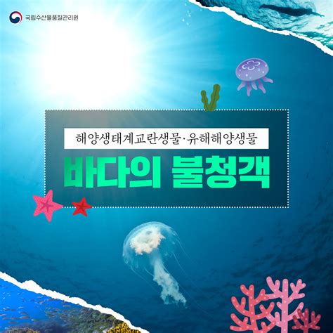 국립수산물품질관리원 [바다의 불청객] ⁉해양생태계교란생물·유해해양생물 들어보셨나요 🥽지구 표면의 Facebook