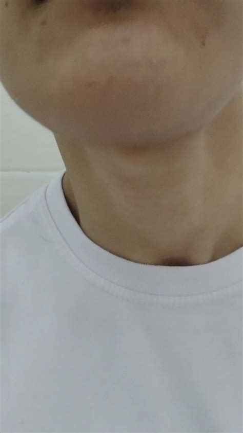 Swallow Big Chicken Meat Whole 日本語で