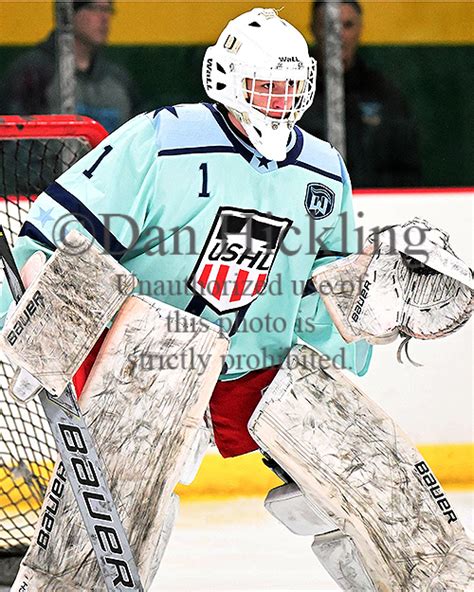 Gavin Covrig Stats Contract Salary And More