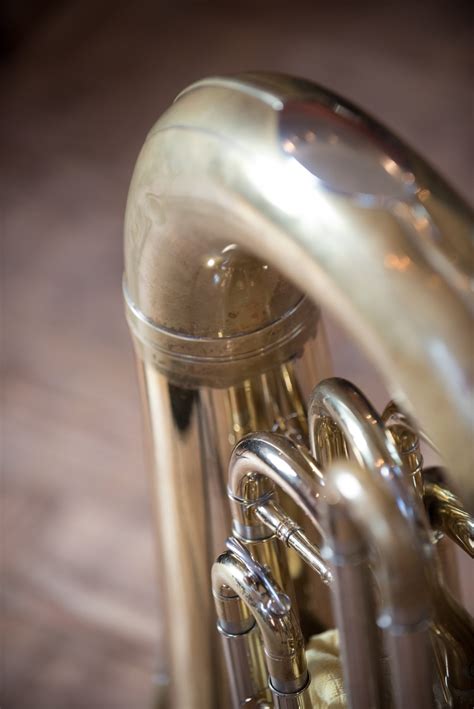 Qld Wind And Brass At Marie Vaughan Blog