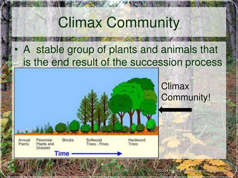 Climax Community Definition At Daryl Hudson Blog