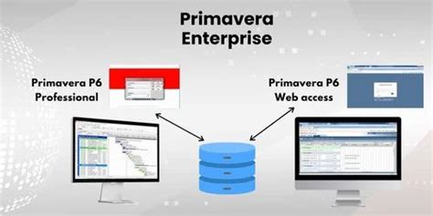 Primavera Software Training At ₹ 20000 Certificate In Bengaluru Id 2854510021948