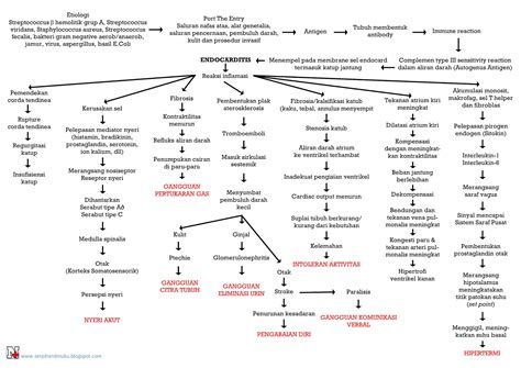 Pathway Endocarditis
