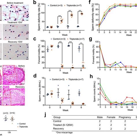 Proof Of Concept Efficacy Testing Of Male Contraceptive Effects Of