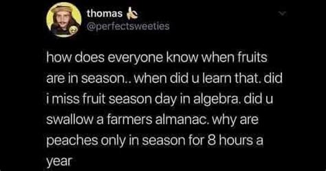 25 Memes Workday Wind Down Our Fresh Evening Meme Drop