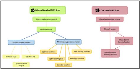 Nirs Set Up Guide
