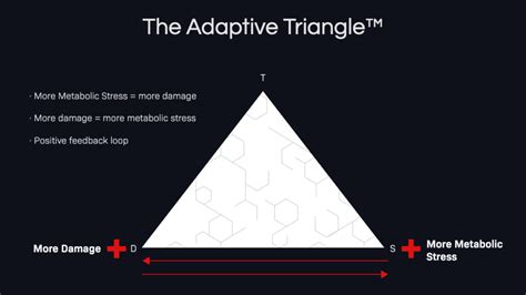 The Adaptive Triangle™ Adjust Your Workout Intelligently Arx