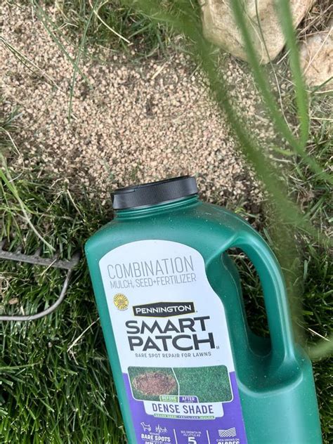 Pennington Smart Seed And Smart Patch Dense Shade 2 Pack 12 Lb Mixture