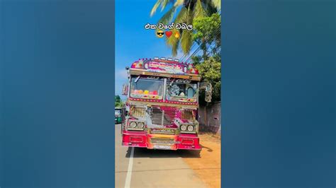Maya Kirilli Karis ඩබල Bus Automobile Srilanka Youtube