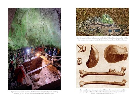 Architectura And Natura The Secret World Of The Denisovans The Epic