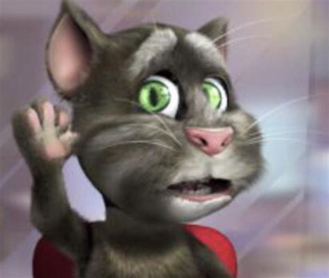 Pin By ♠️💜metal Galaxy💜♠️ On Talking Tom Memes Memes Funny Faces