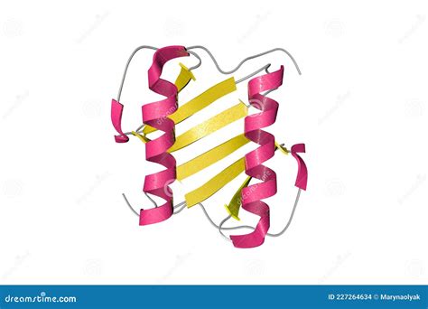 Human Interleukin 7 With Unglycosylated Interleukin 7 Receptor Alpha